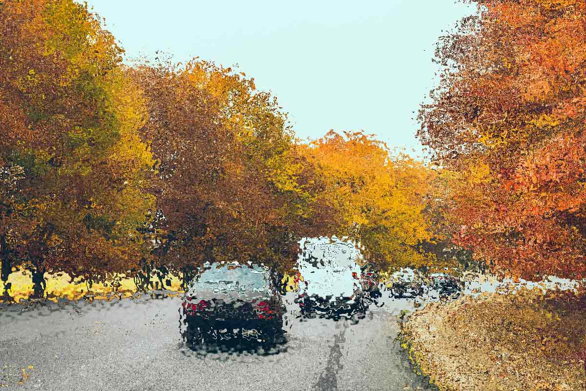 21 Best Places To See Fall Foliage In The United States - Tripkrt Holidays