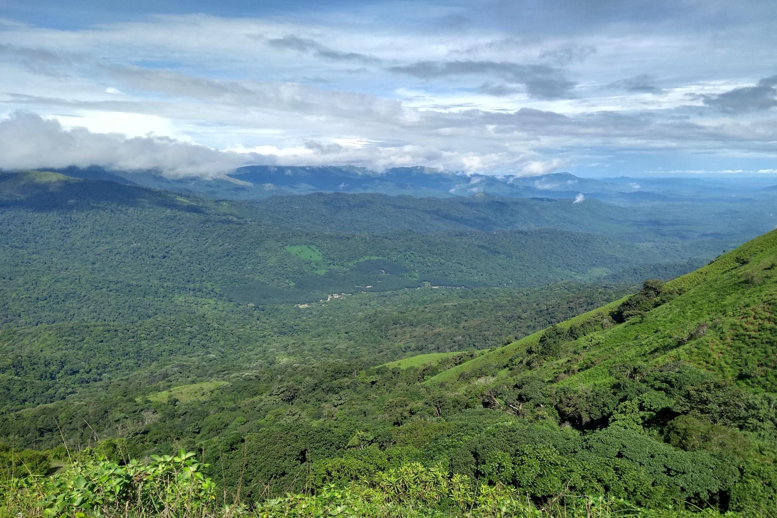 Top 15 Resorts In And Around Coorg - Tripkrt Holidays